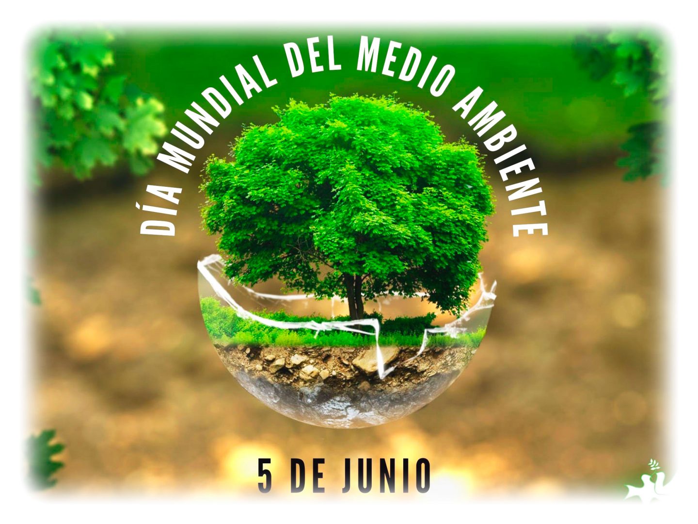 5 de junio, “Día mundial del medio ambiente” – Dirección de formación ...